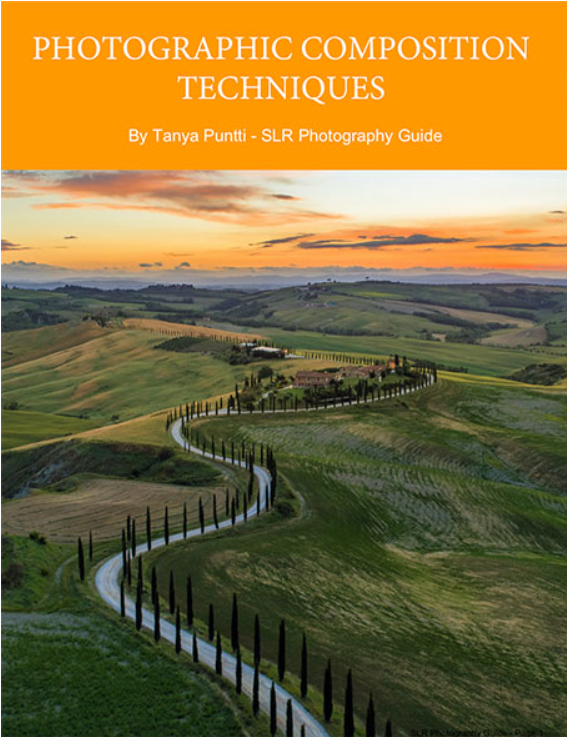 5 Best Photography Composition Books That Every Photographer Should ...